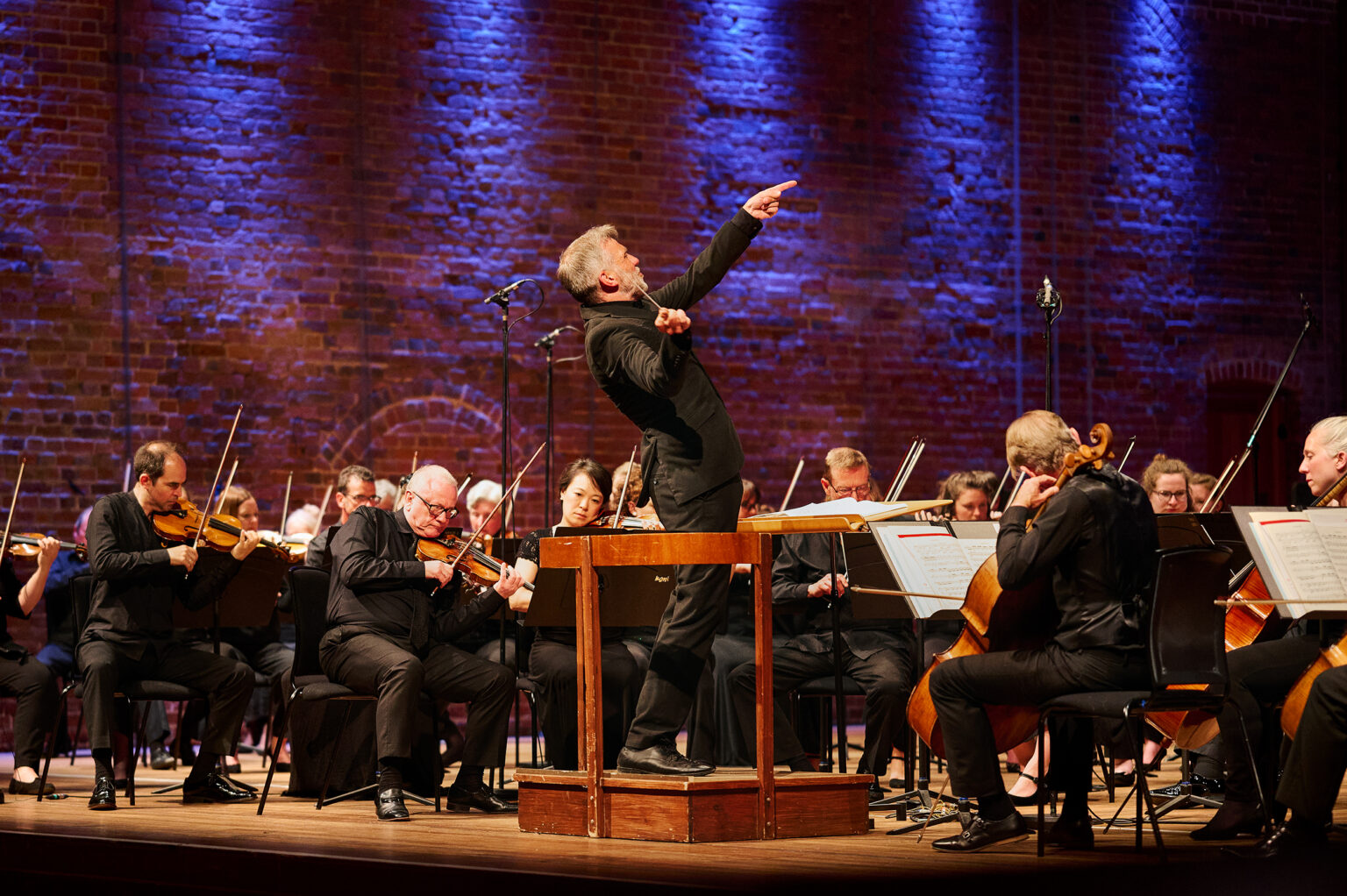 Rumon Gamba – Conductor